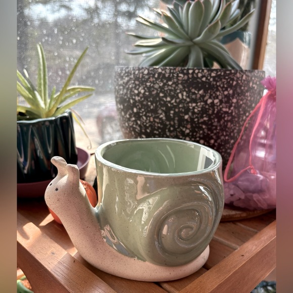 Accents | Ceramic Snail Planter With Drainage Hole | Poshmark